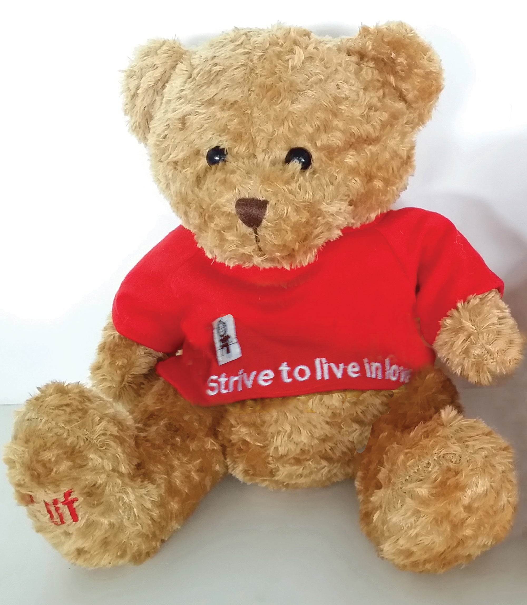Teddy Bears – A Little Lifetime Foundation